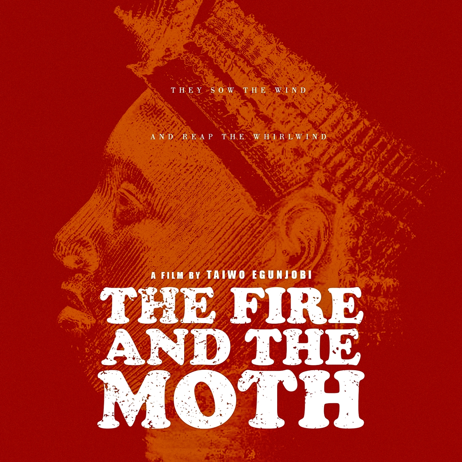 Fire and The Moth
